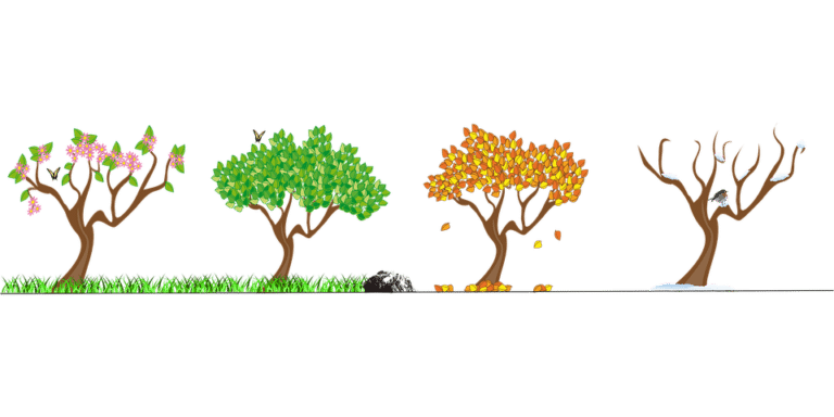 4 Types of Derivatives - What is a derivative? (Overview)