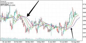 Alligator Indicator: How To Use and Read the Williams Alligator ...