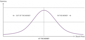 What Is Gamma Risk? (Definition | Meaning)